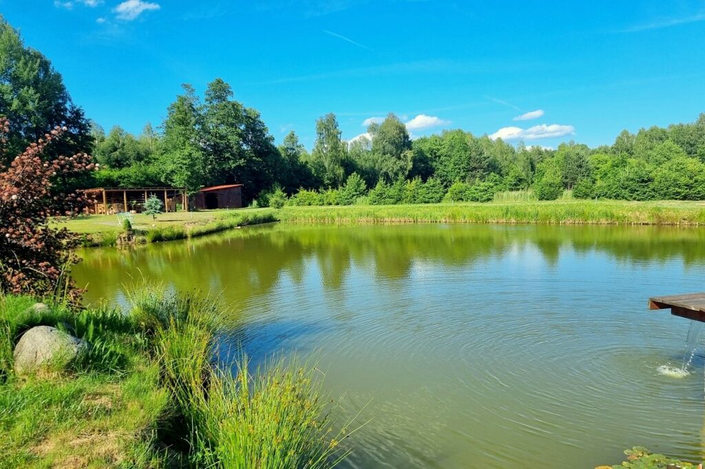 Leśny Zakątek Białe Błoto - bibaba.pl